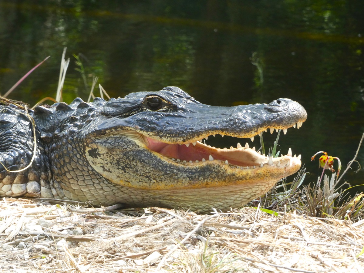 Stay Tuned! – MATT: AT HOME IN THE WORLD